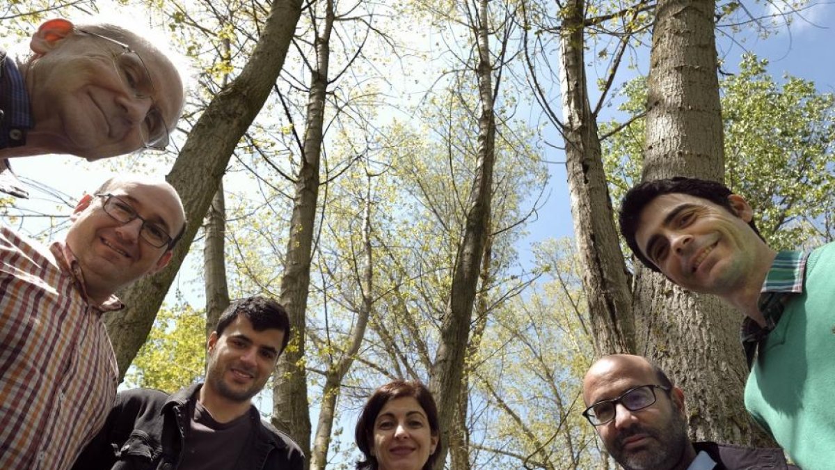 Imitar las llamas para luchar contra el fuego