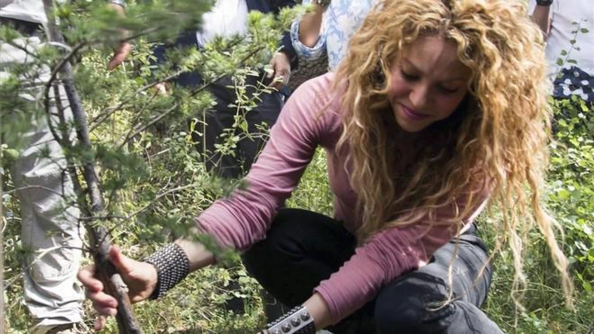 Shakira declara este jueves ante una jueza por fraude a Hacienda