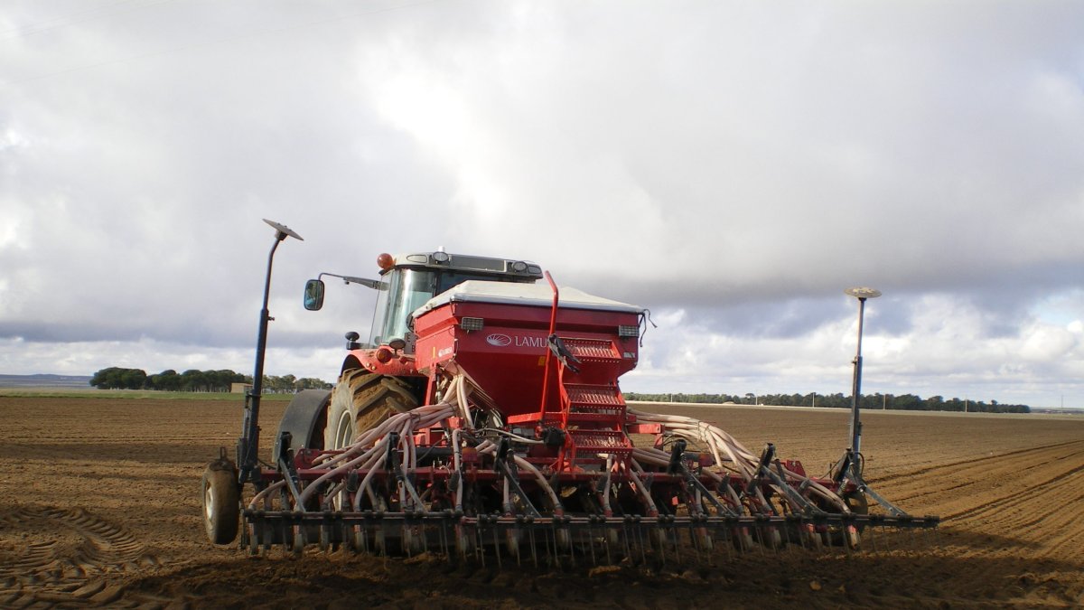 La siembra de cereales de invierno, en vilo ante la falta de ...