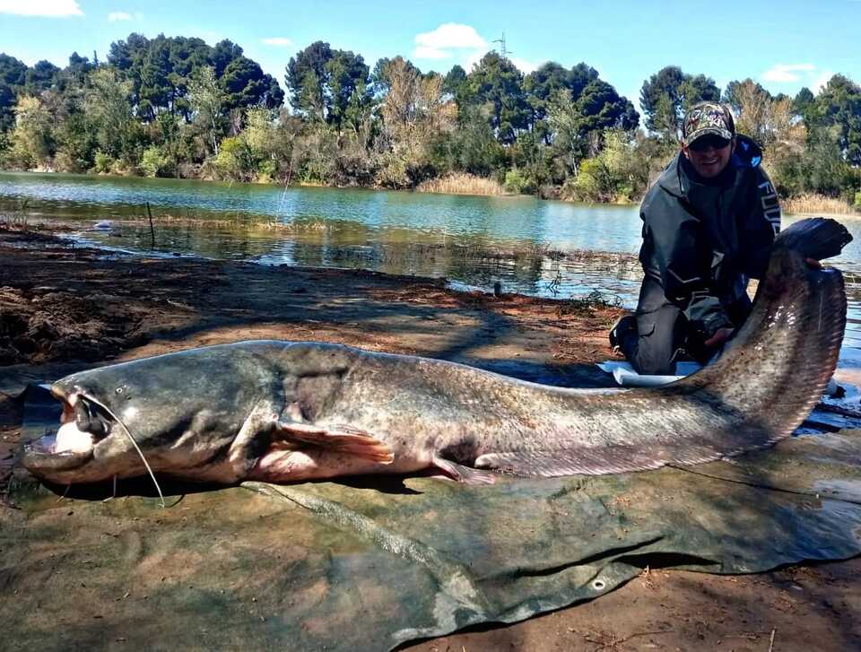 ¿Qué es un siluro?