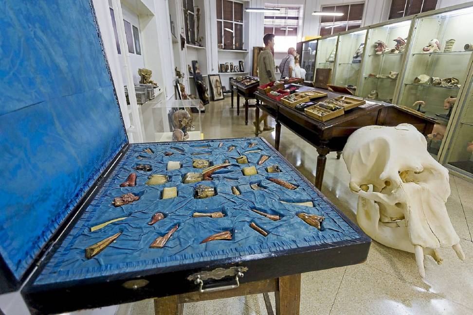 De la percha de Don Salvino al oso panda Chulin